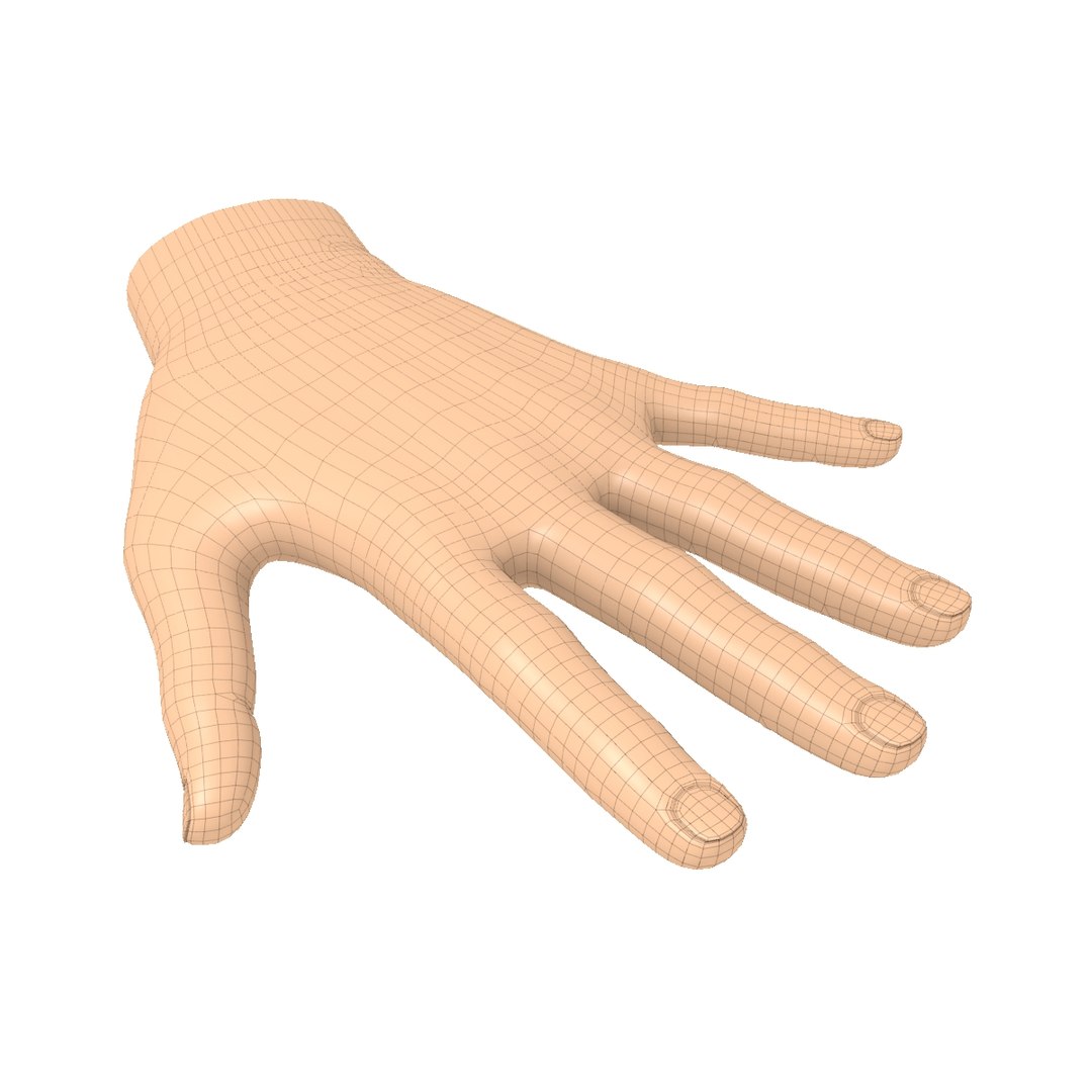 3D Human Hand - TurboSquid 1166635