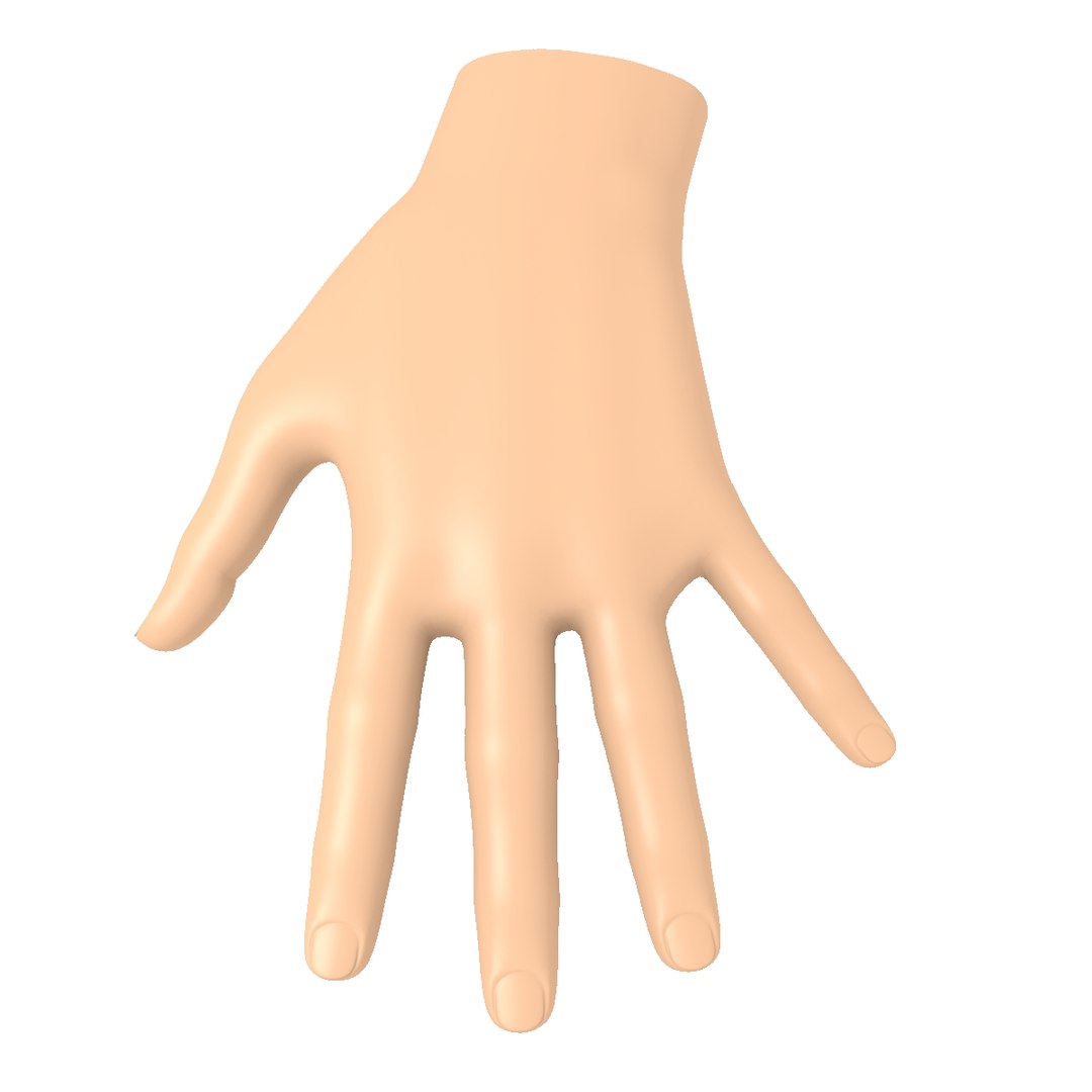 3D Human Hand - TurboSquid 1166635
