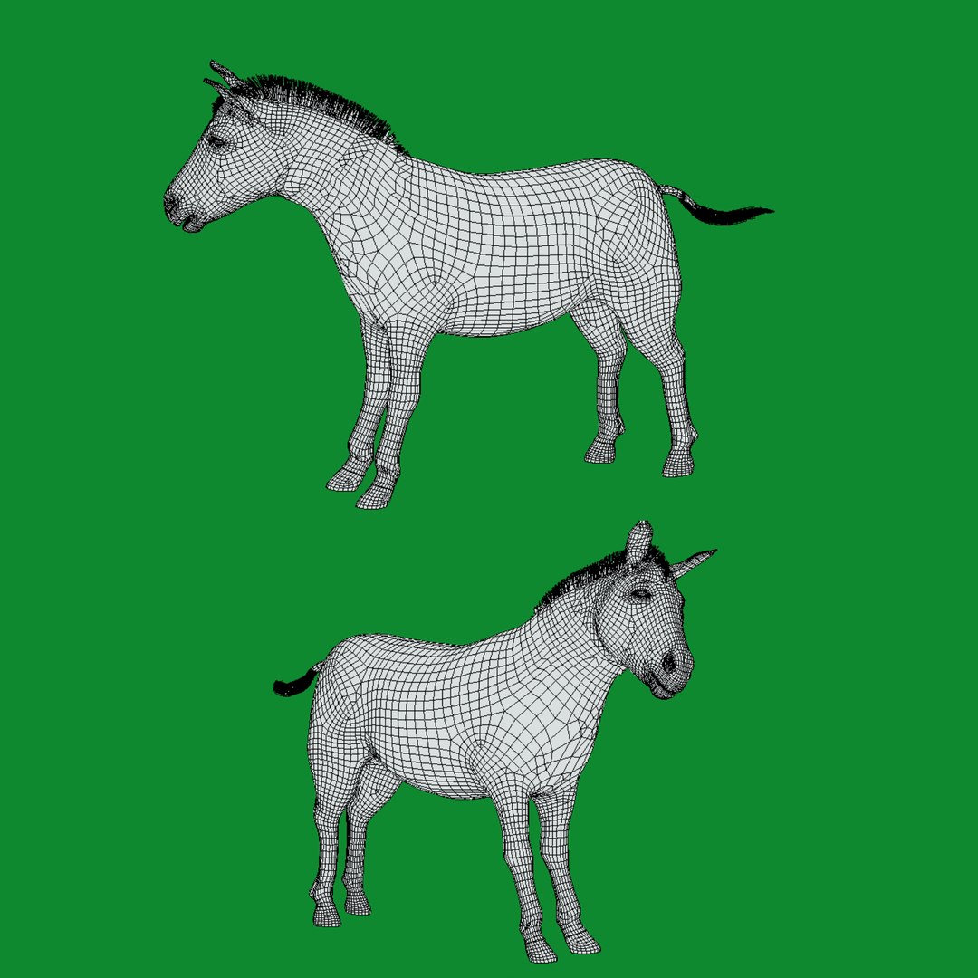 Imperial Zebra 3D - TurboSquid 2298616