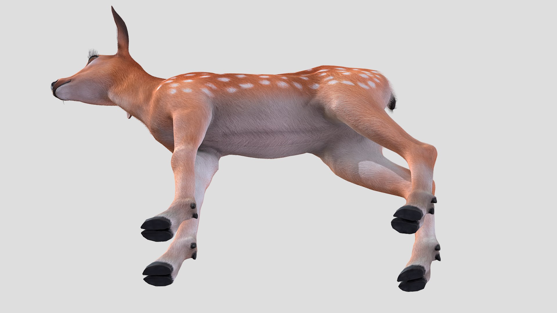 3D Deer - Calf model - TurboSquid 2145771