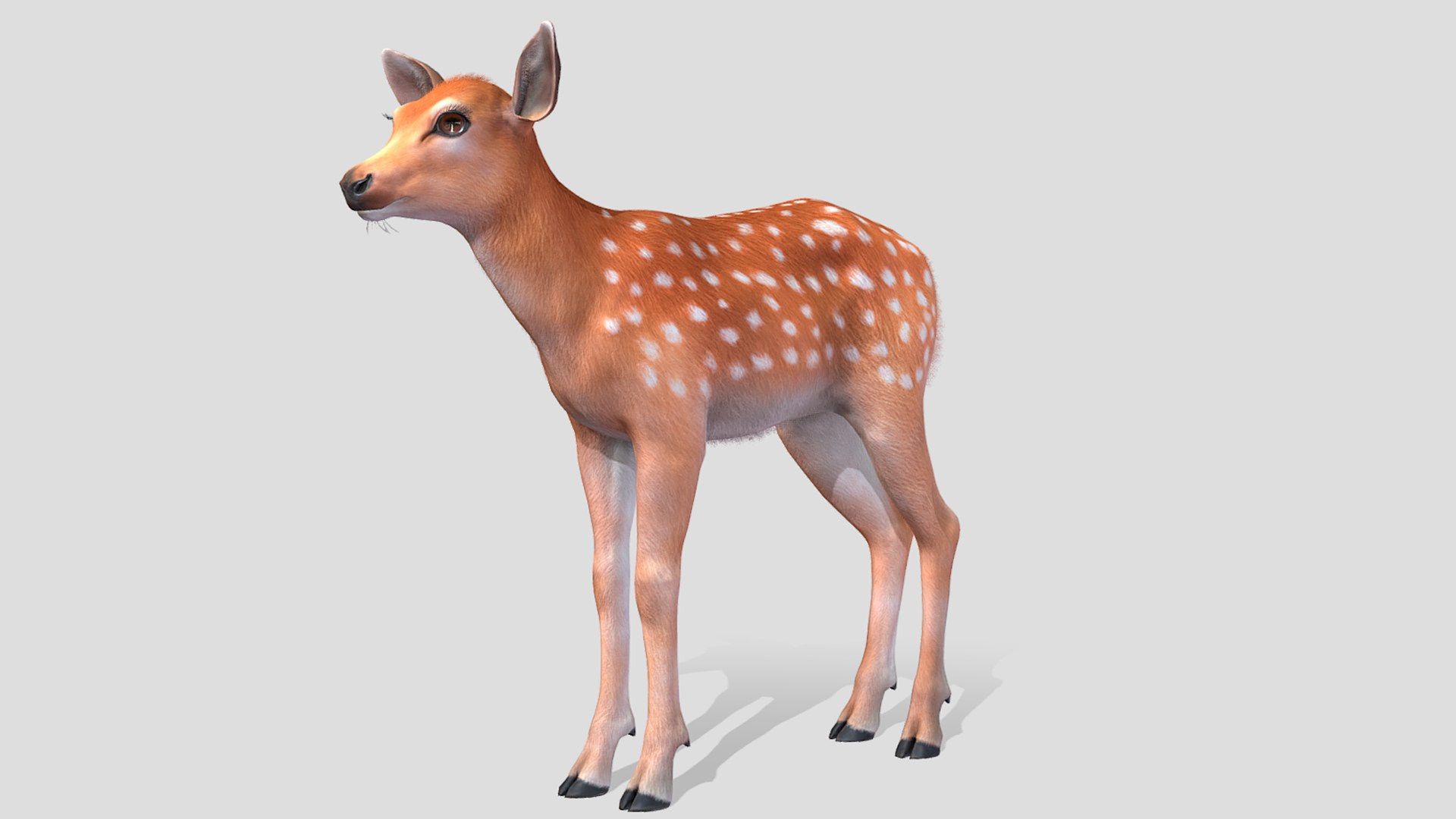 3D Deer - Calf model - TurboSquid 2145771