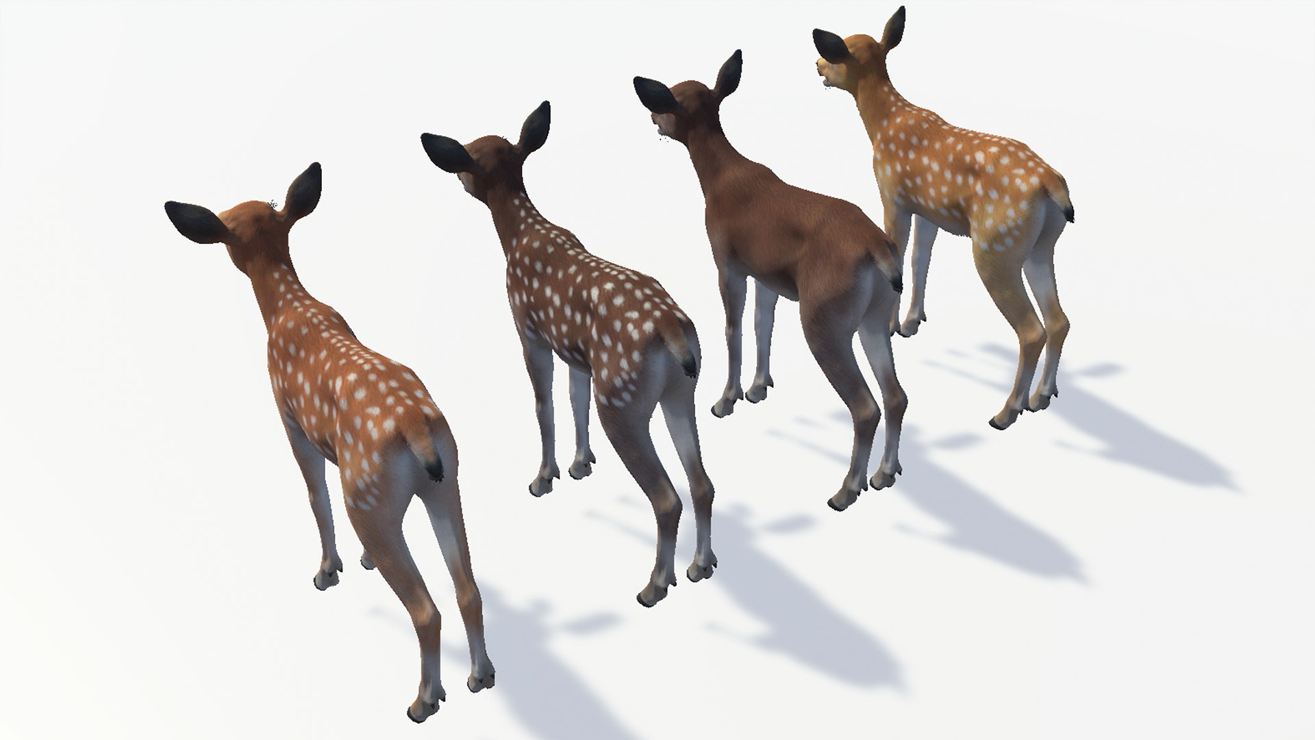 3D Deer - Calf model - TurboSquid 2145771