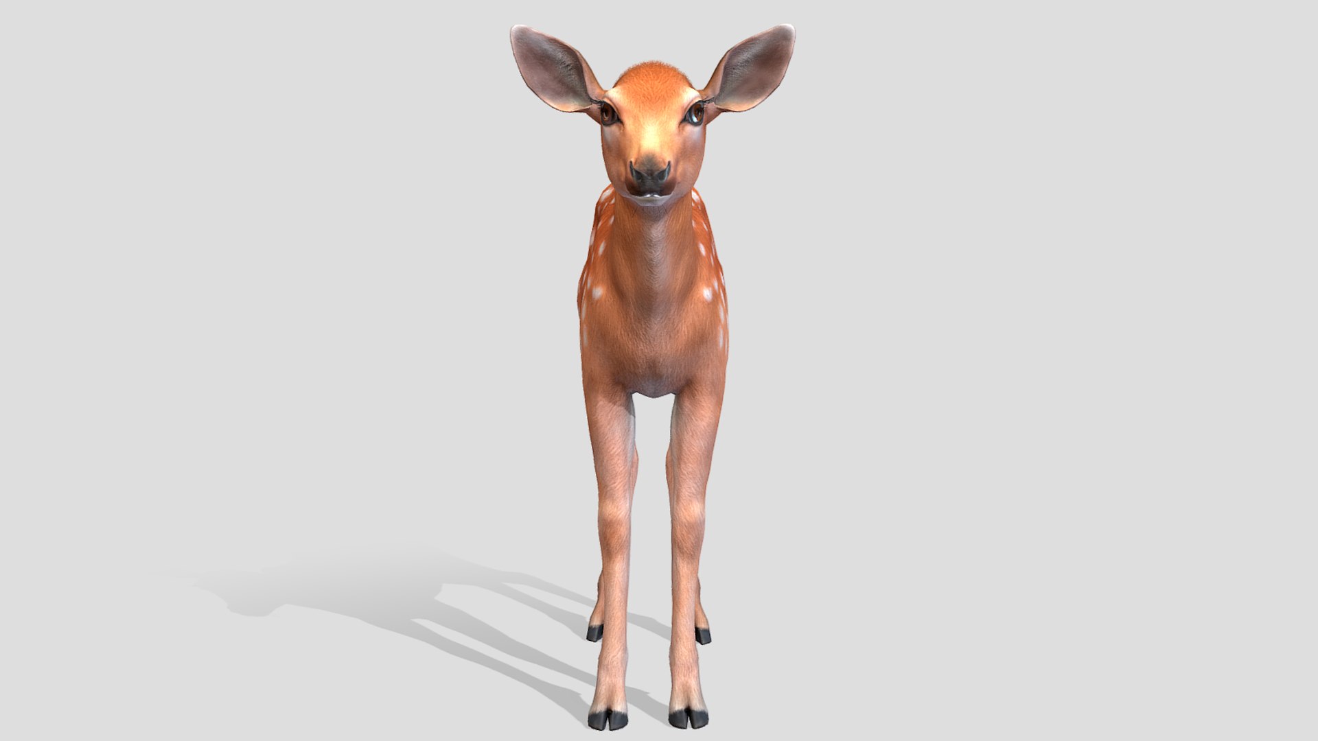 3D Deer - Calf model - TurboSquid 2145771