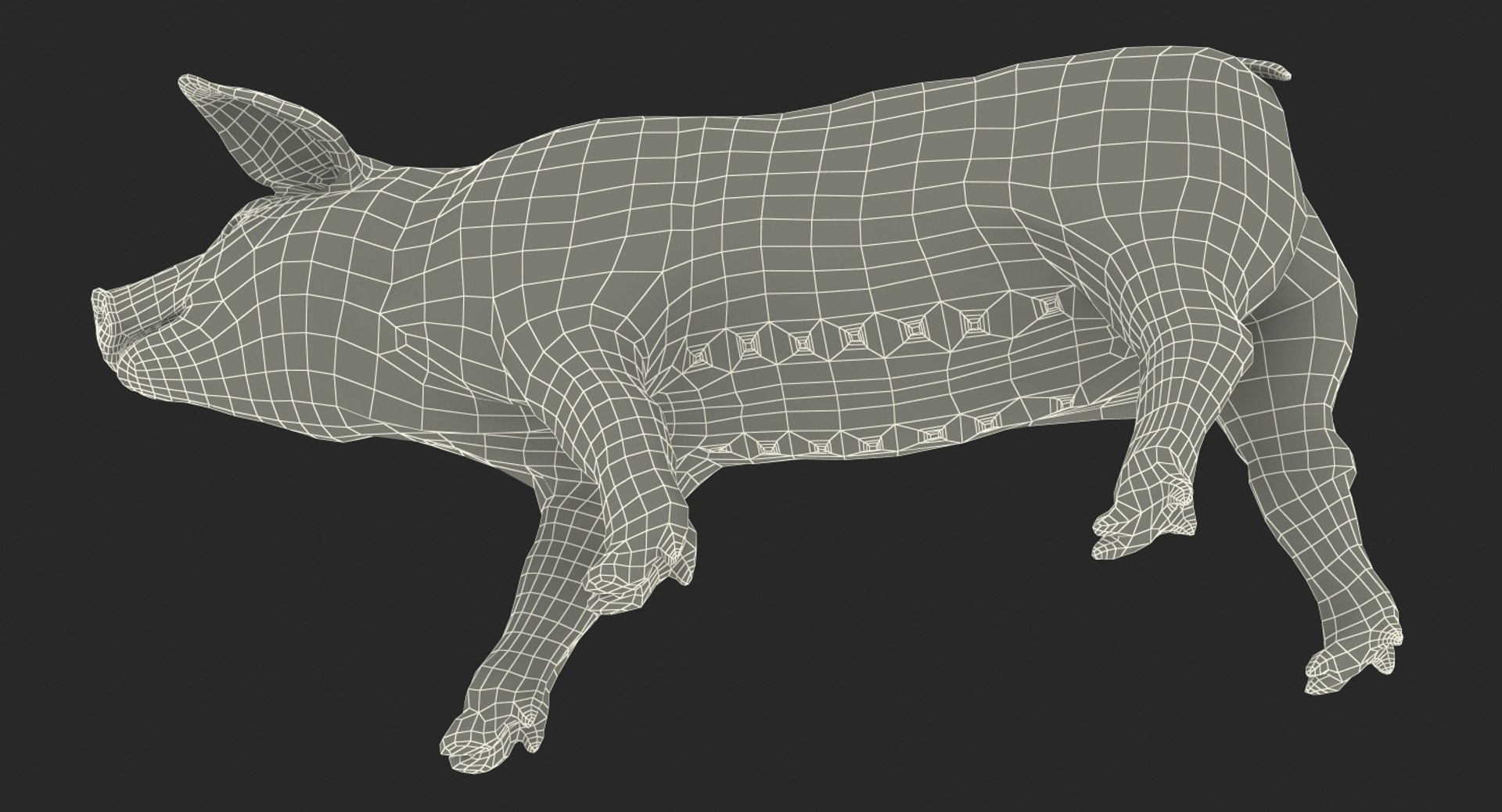 3D Model Pig Piglet Pietrain Walking - TurboSquid 1355773