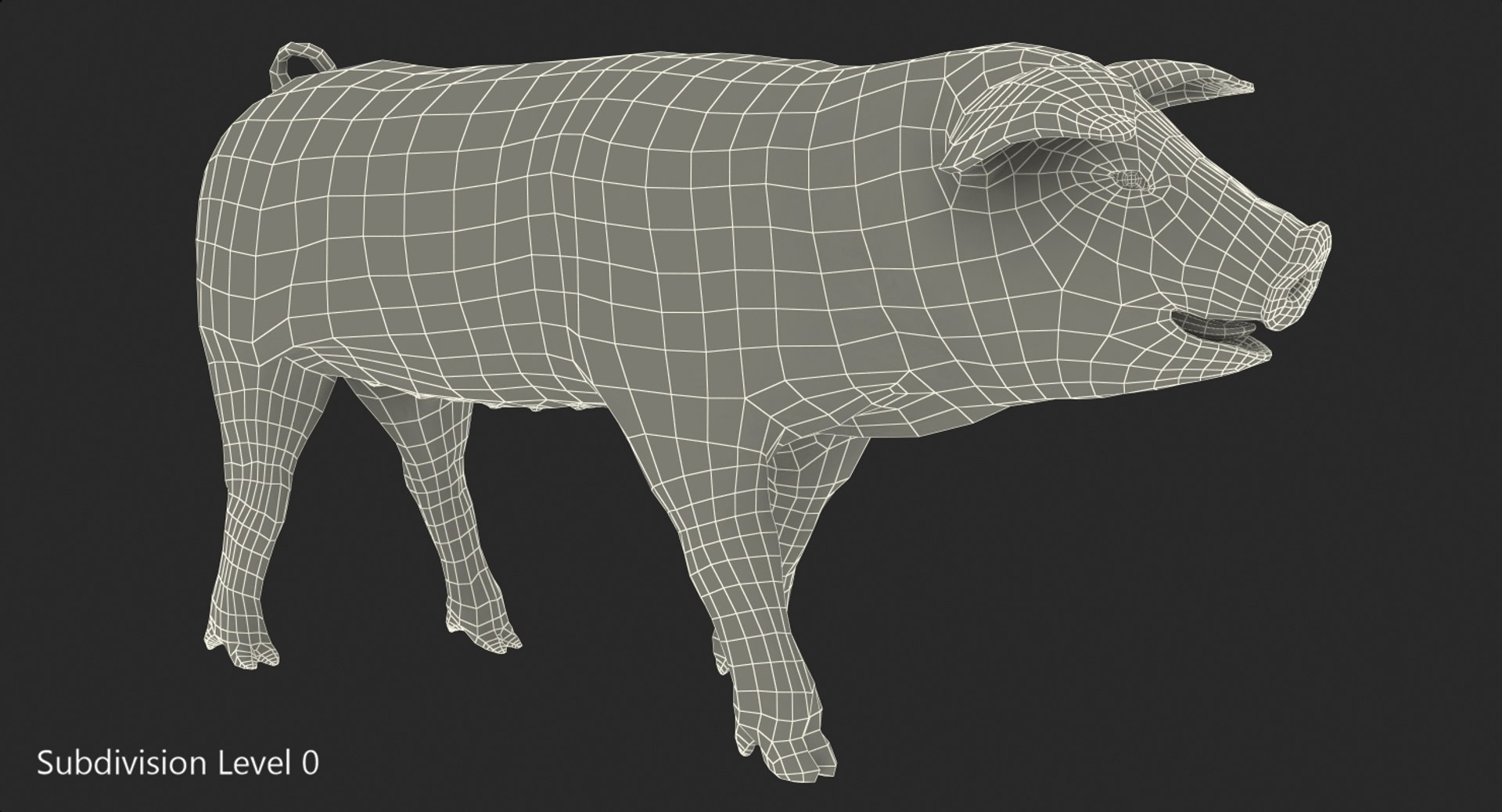 3D Model Pig Piglet Pietrain Walking - TurboSquid 1355773