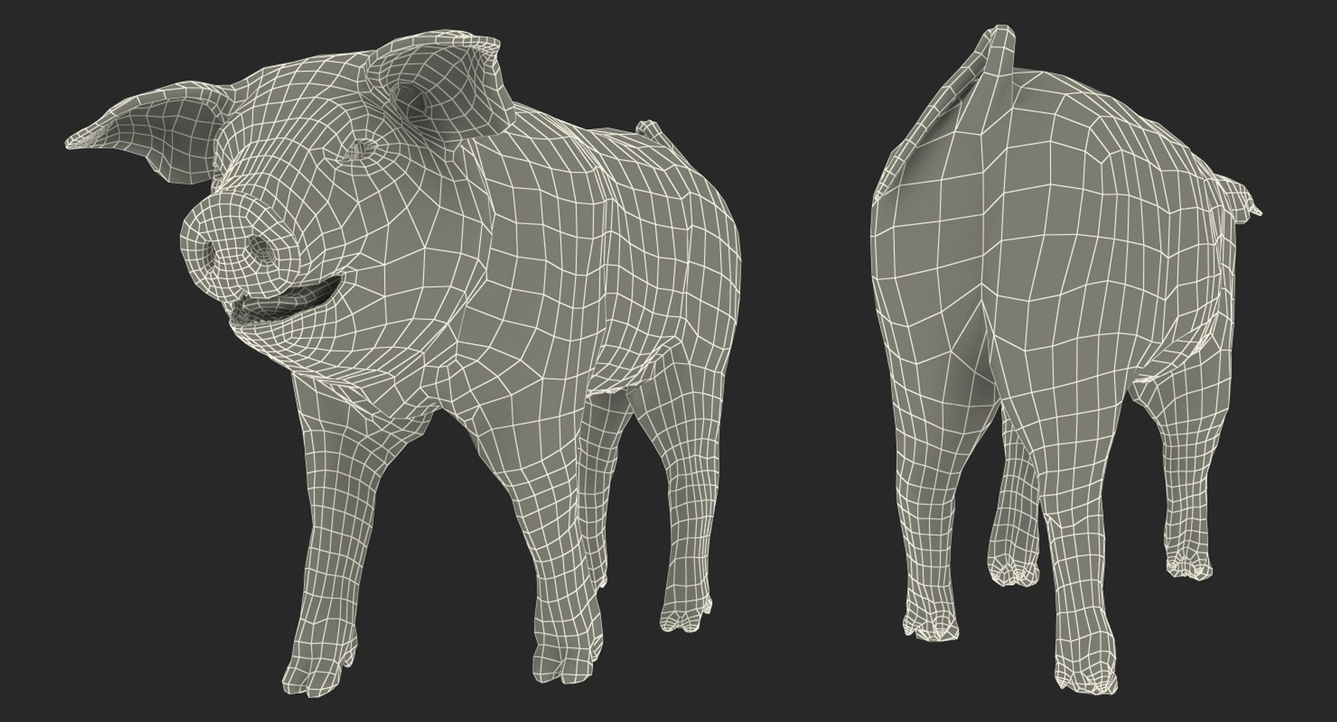 3D Model Pig Piglet Pietrain Walking - TurboSquid 1355773