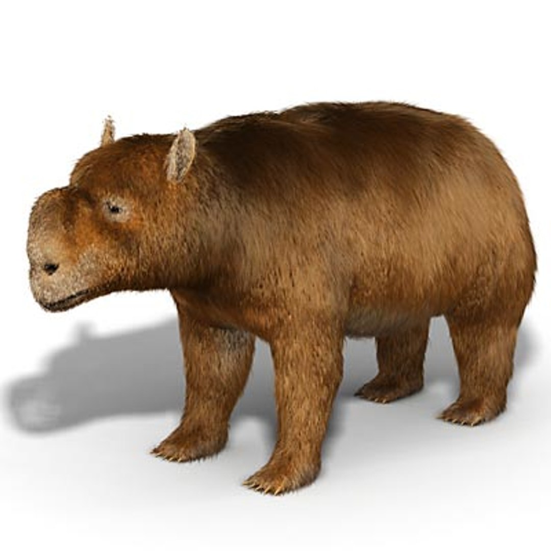 Extinct Diprotodon 3d Model