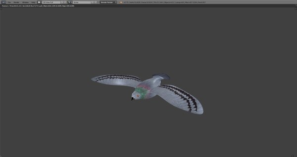 3d model rigged pigeon