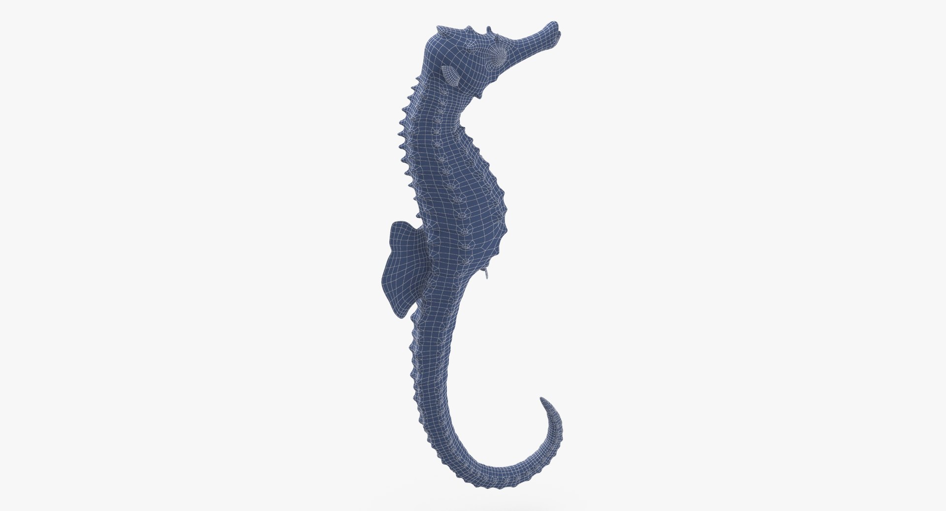 seahorse rigged 3d max