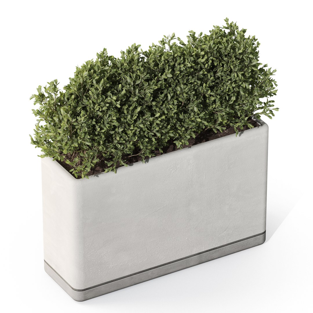 3D Plants Collection 1083 - TurboSquid 2214343