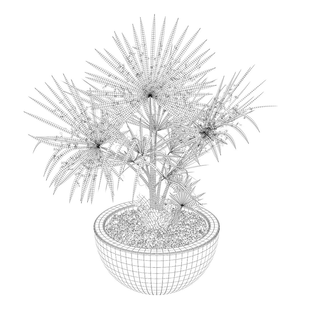 Palm Plant 3D Model - TurboSquid 1683945