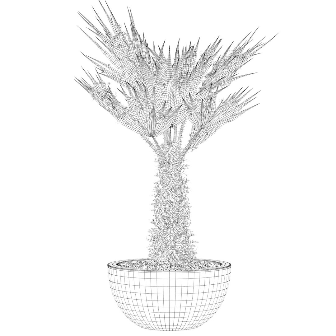Palm Plant 3D Model - TurboSquid 1683945
