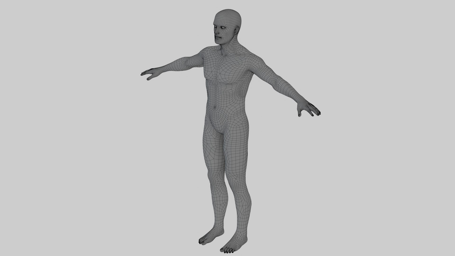 3D Adam - Basis Male Figure Model - TurboSquid 1727944