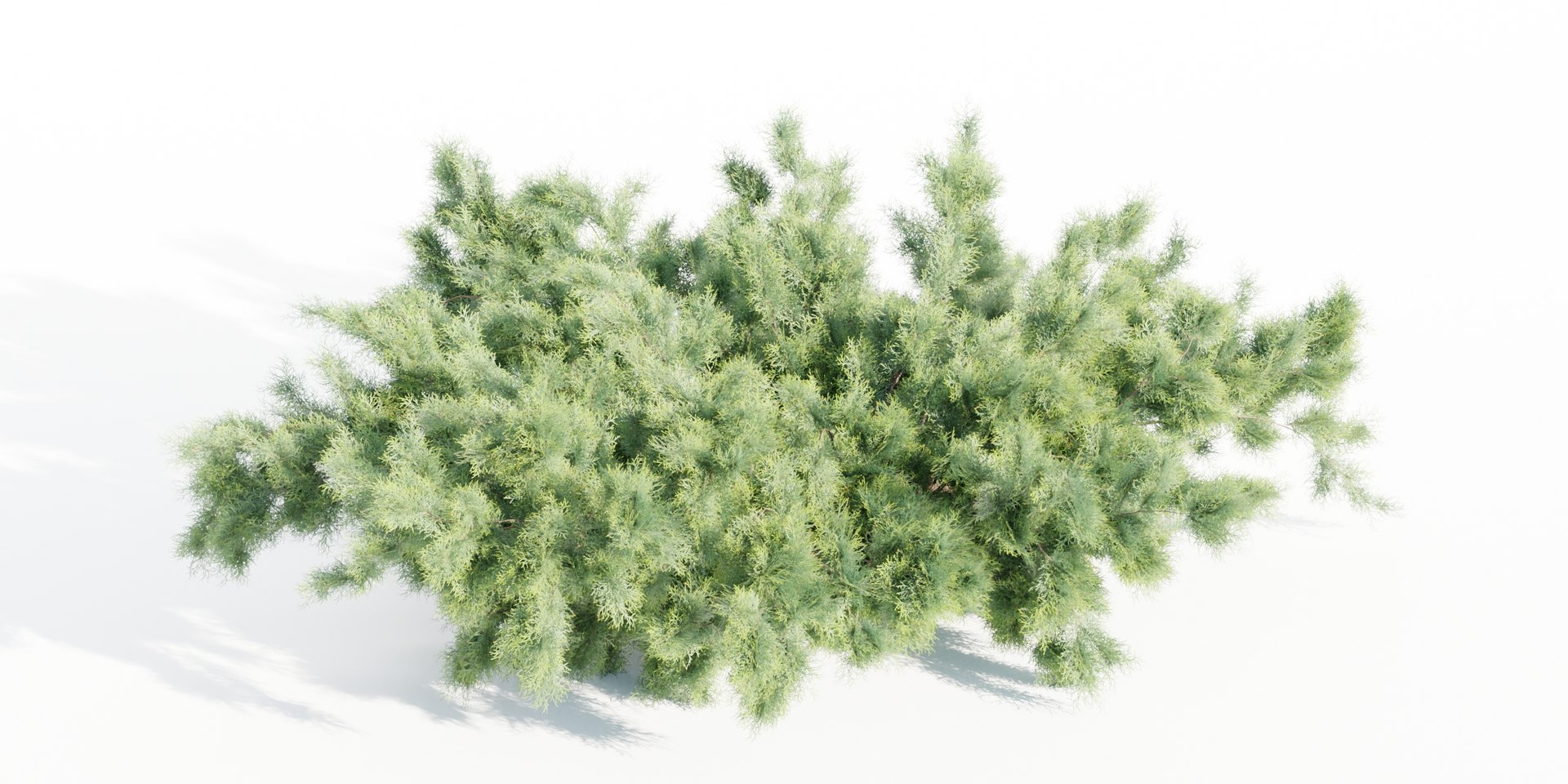 3D Outdoor Bushes Collection Vol 9-Blender - TurboSquid 2123763