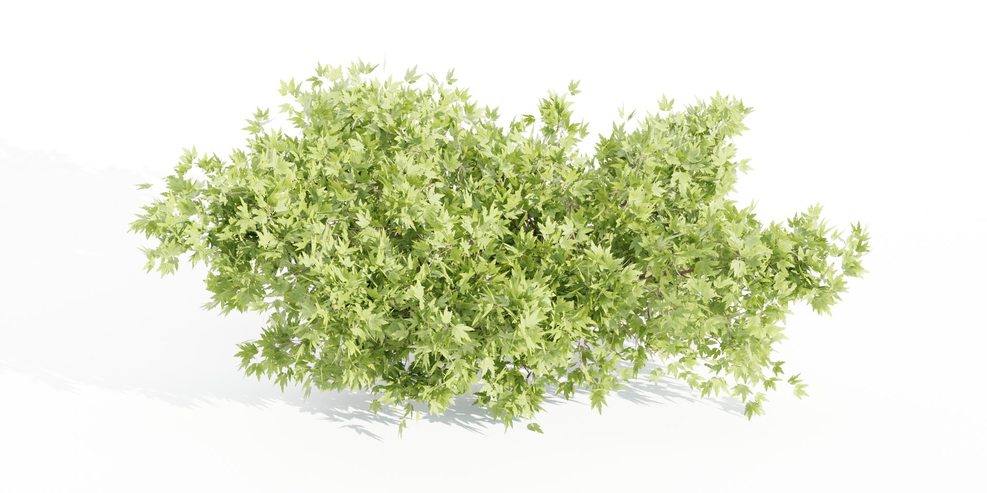 3D Outdoor Bushes Collection Vol 9-Blender - TurboSquid 2123763