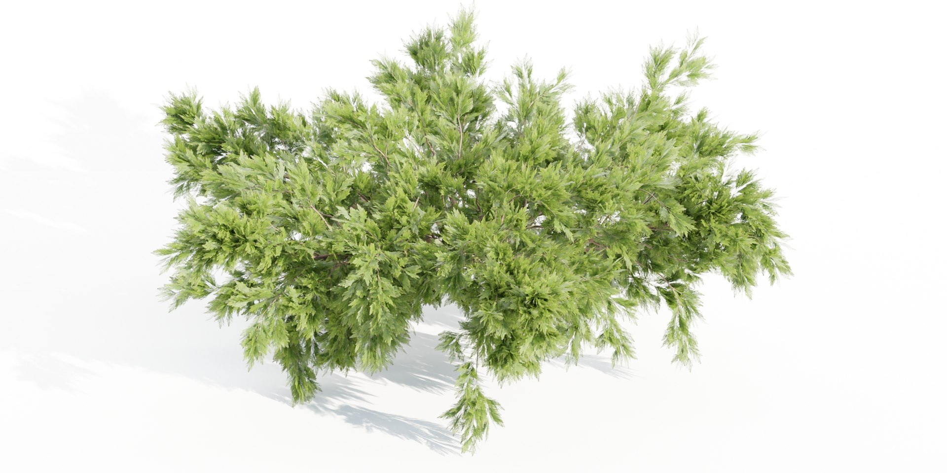 3D Outdoor Bushes Collection Vol 9-Blender - TurboSquid 2123763