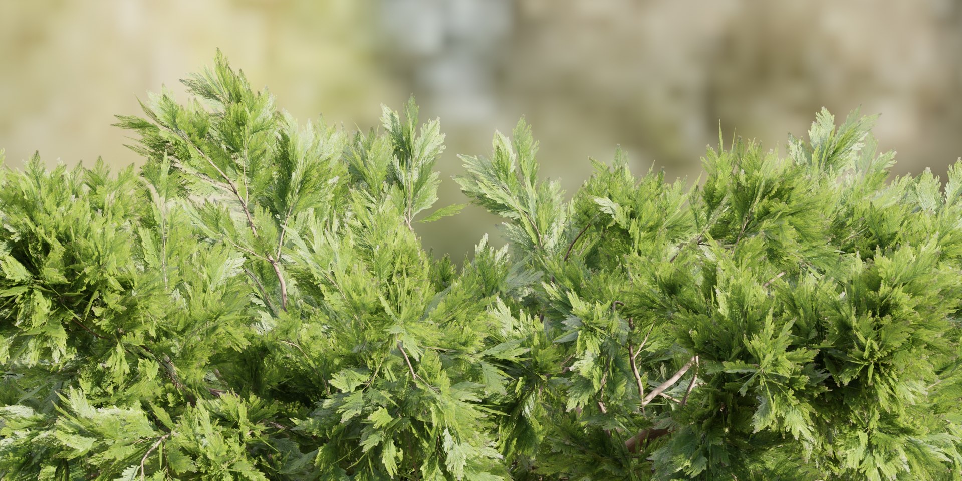 3D Outdoor Bushes Collection Vol 9-Blender - TurboSquid 2123763