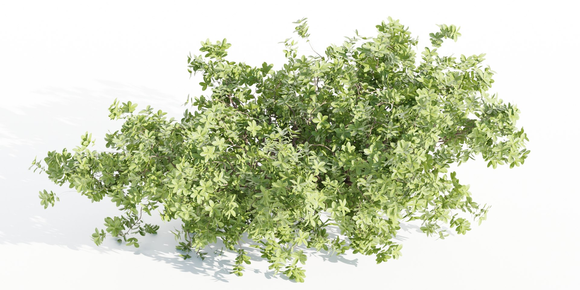 3D Outdoor Bushes Collection Vol 9-Blender - TurboSquid 2123763