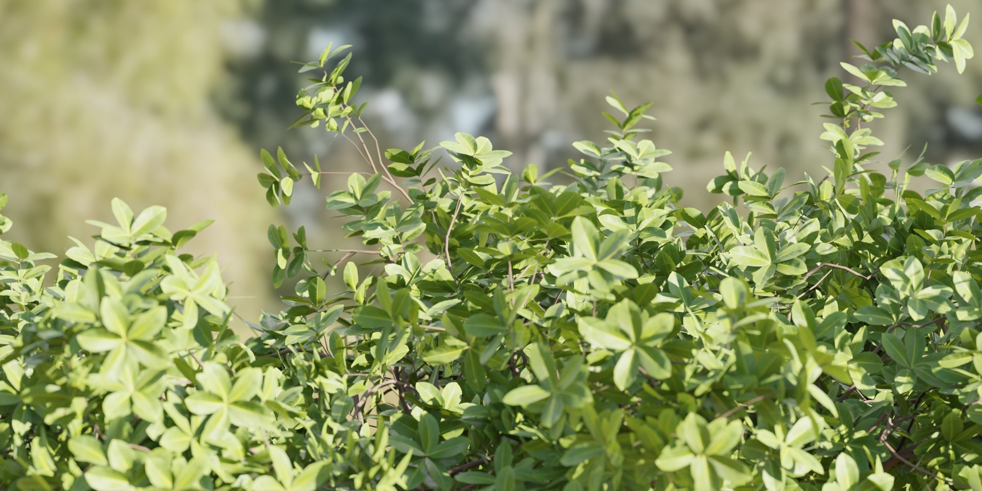 3D Outdoor Bushes Collection Vol 9-Blender - TurboSquid 2123763