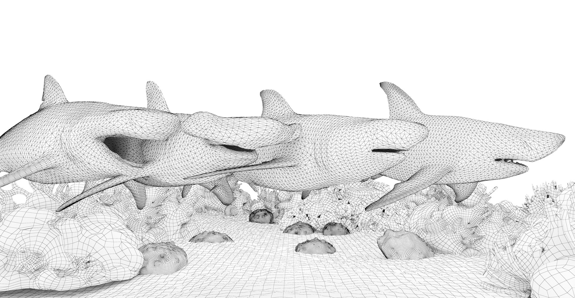 3D Shark Marine Life Pack Model - TurboSquid 2339967