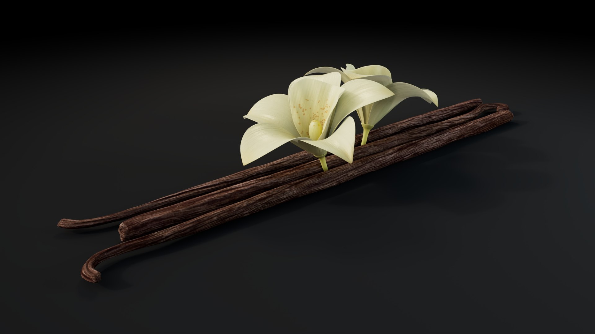 Vanilla 3D - TurboSquid 2280373