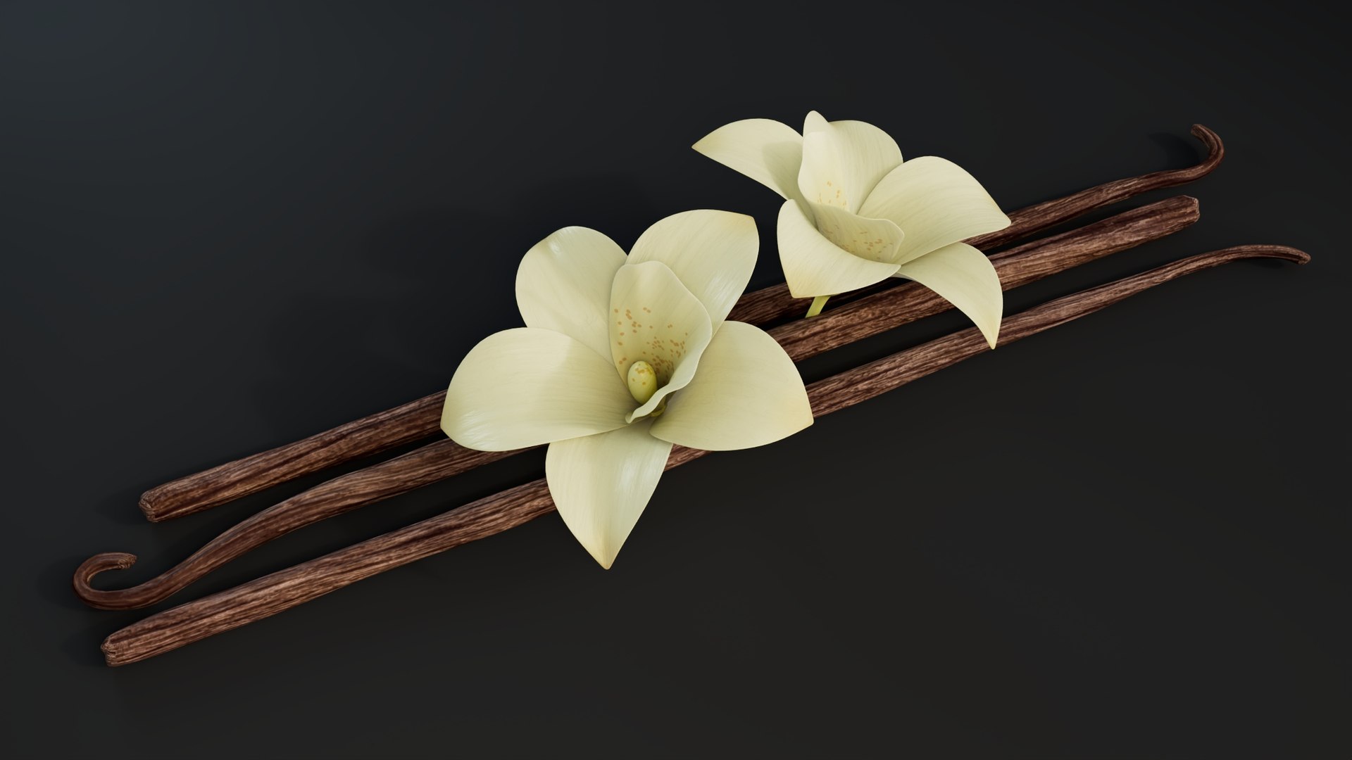 Vanilla 3D - TurboSquid 2280373
