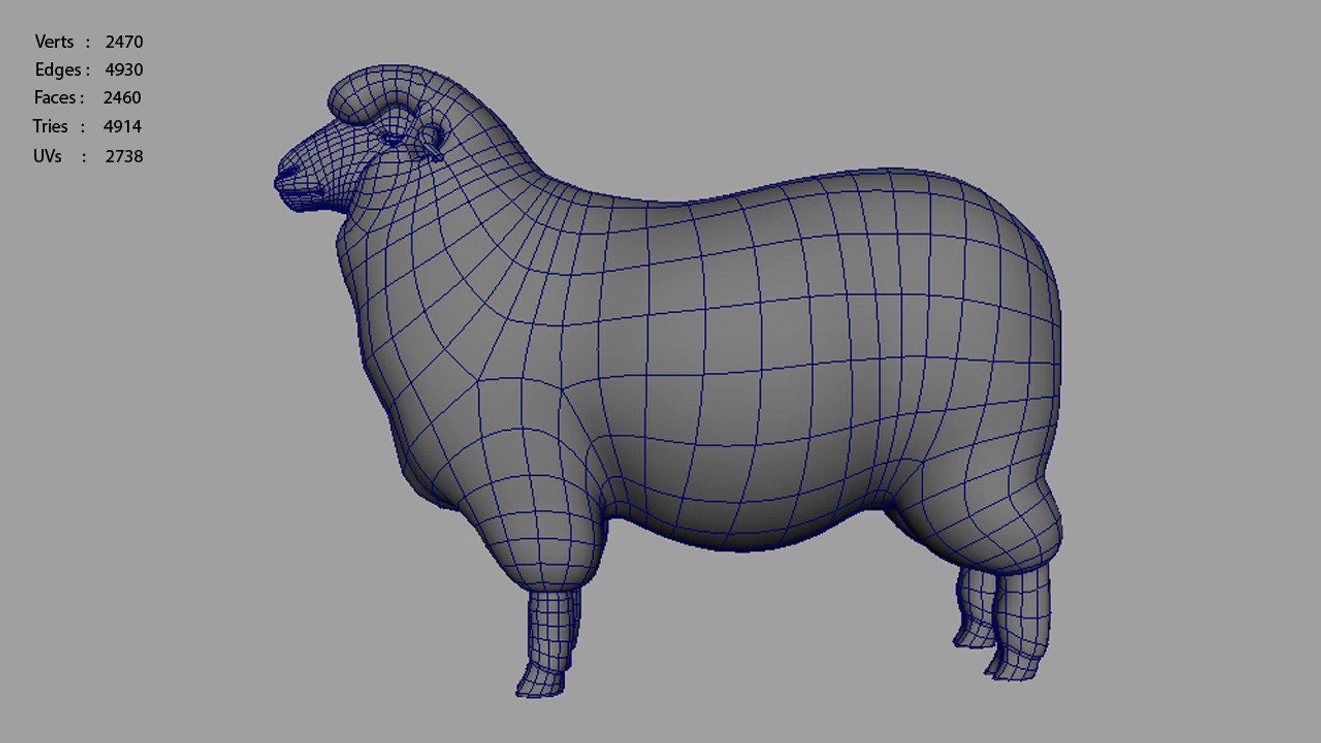 Merino Sheep 3d Model