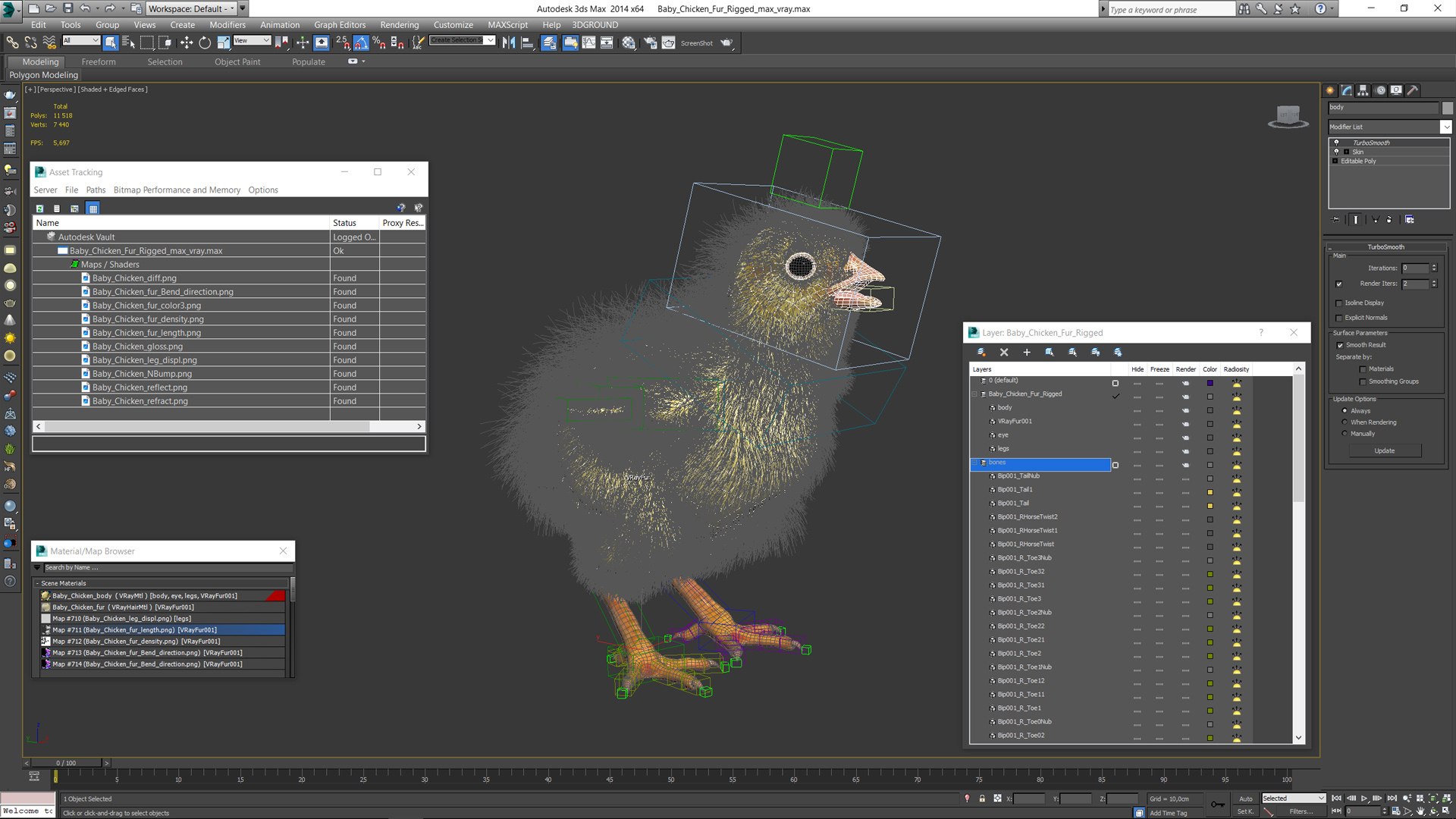 Baby Chicken Fur Rigged 3D Model - TurboSquid 2263563