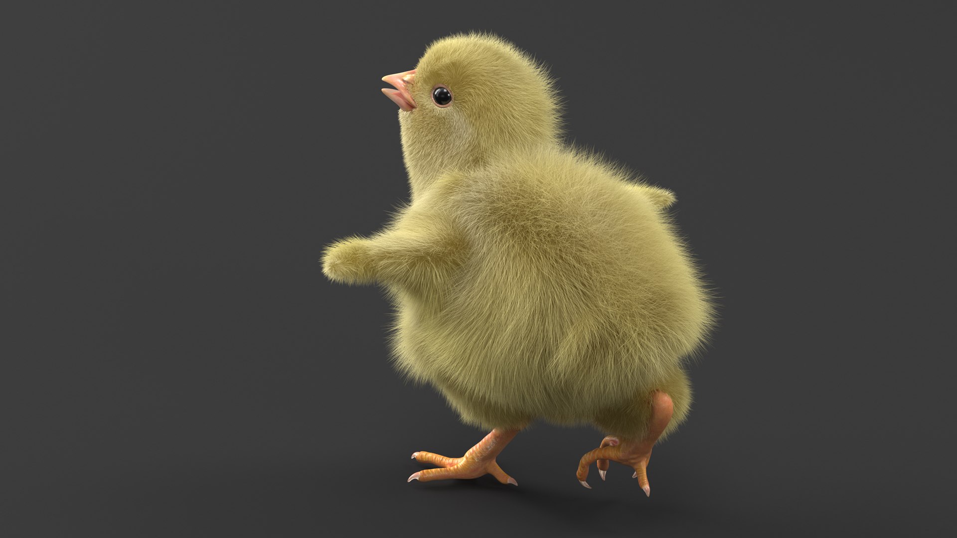 Baby Chicken Fur Rigged 3D Model - TurboSquid 2263563