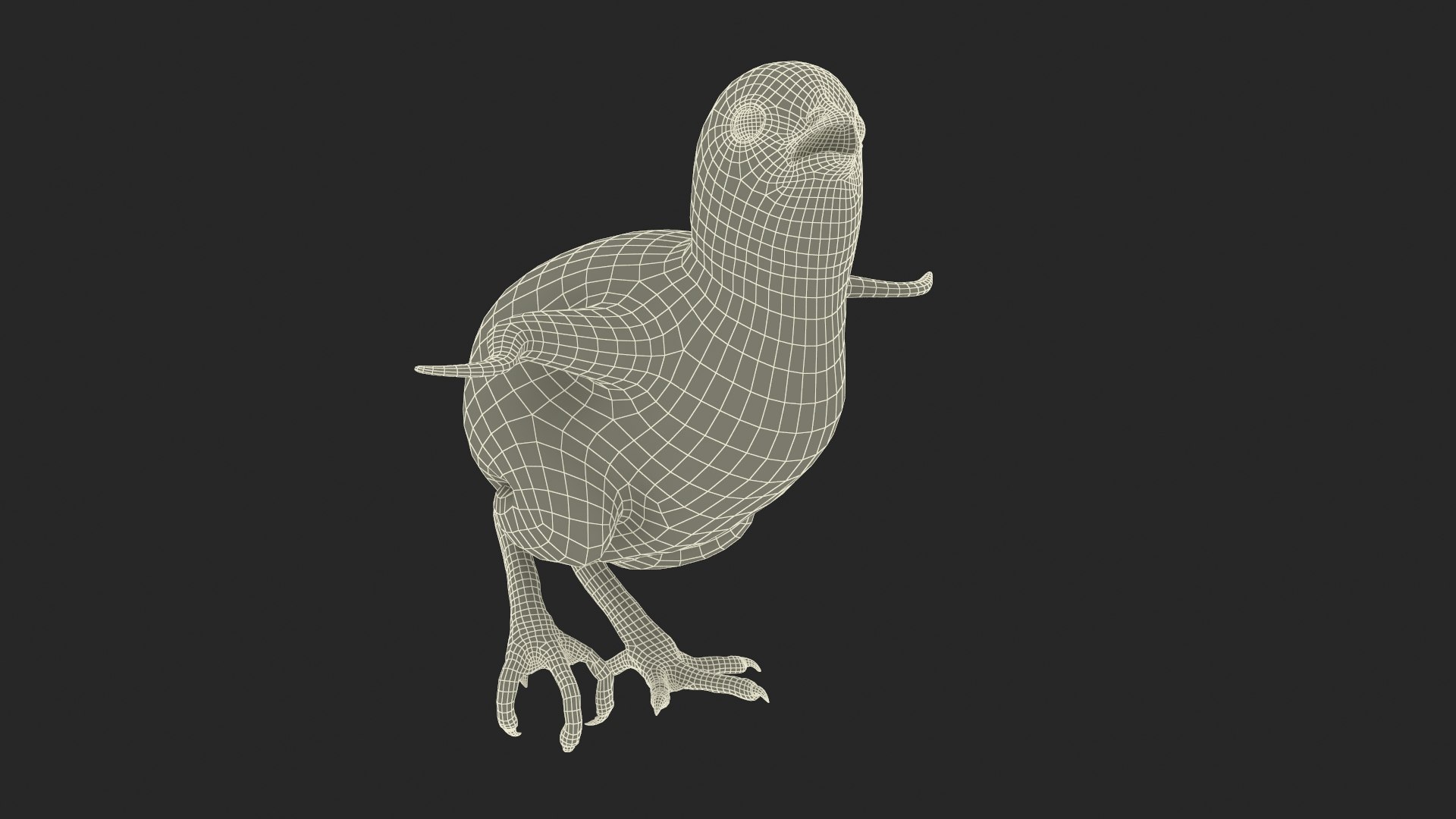 Baby Chicken Fur Rigged 3D Model - TurboSquid 2263563