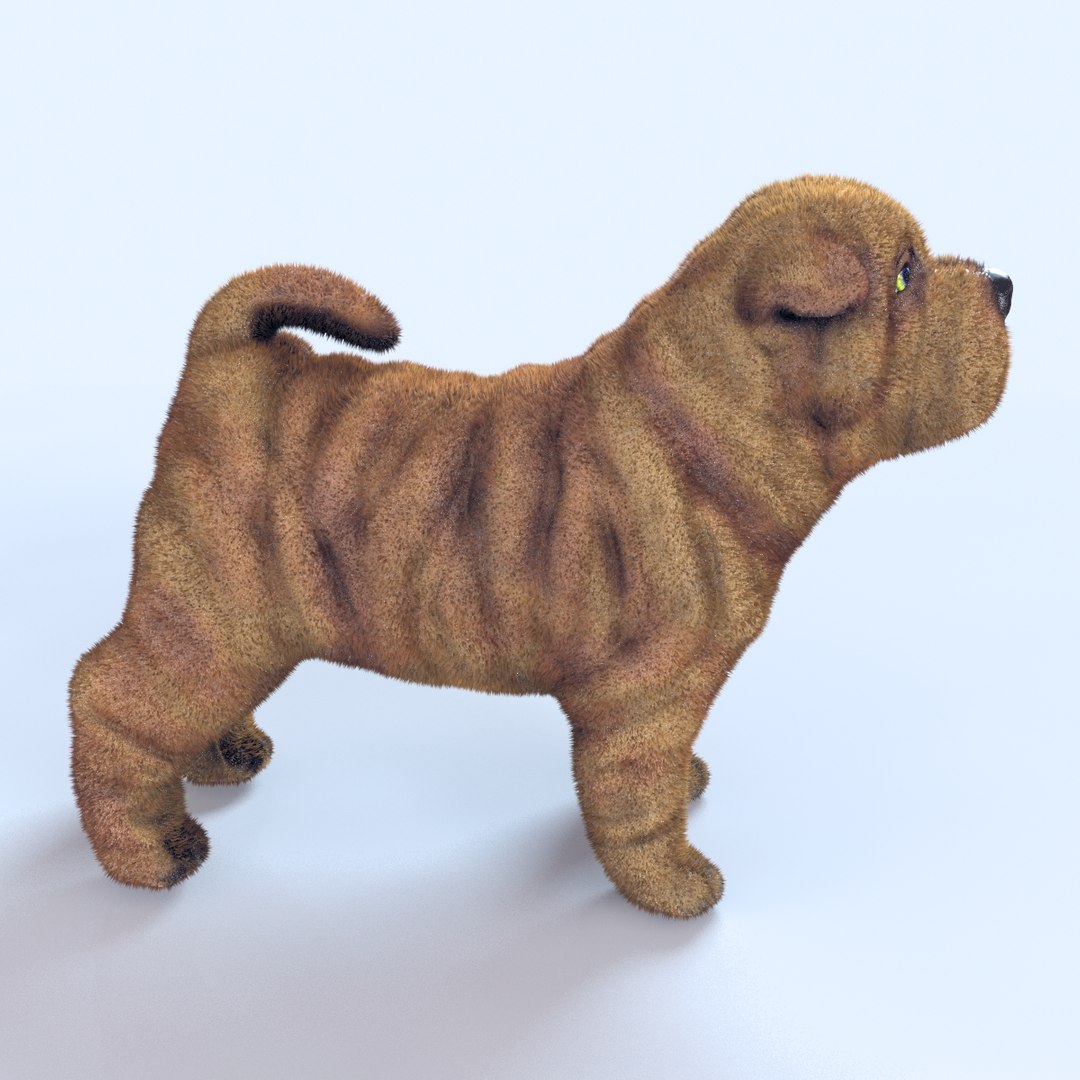 Pup Puppy 3D Model - TurboSquid 1151228