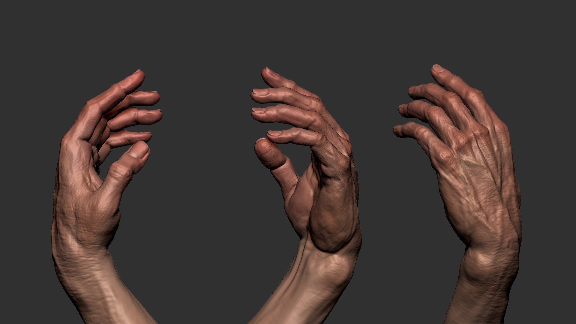 Free 3D Model Free Realistic Hand - TurboSquid 2203856