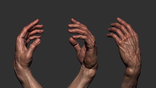modelo 3d Mano realista libre gratis - TurboSquid 2203856