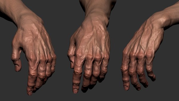 Free 3D Hand Models | TurboSquid