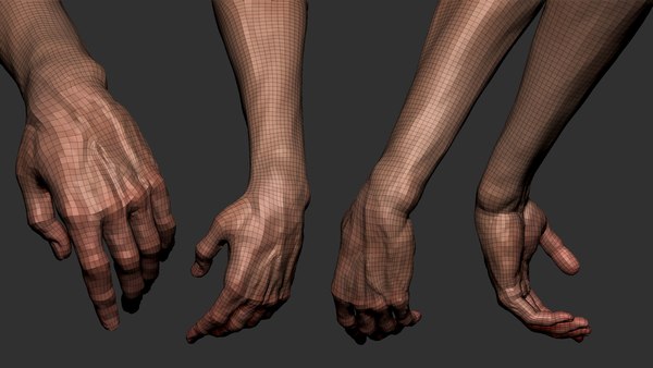 modelo 3d Mano realista libre gratis - TurboSquid 2203856