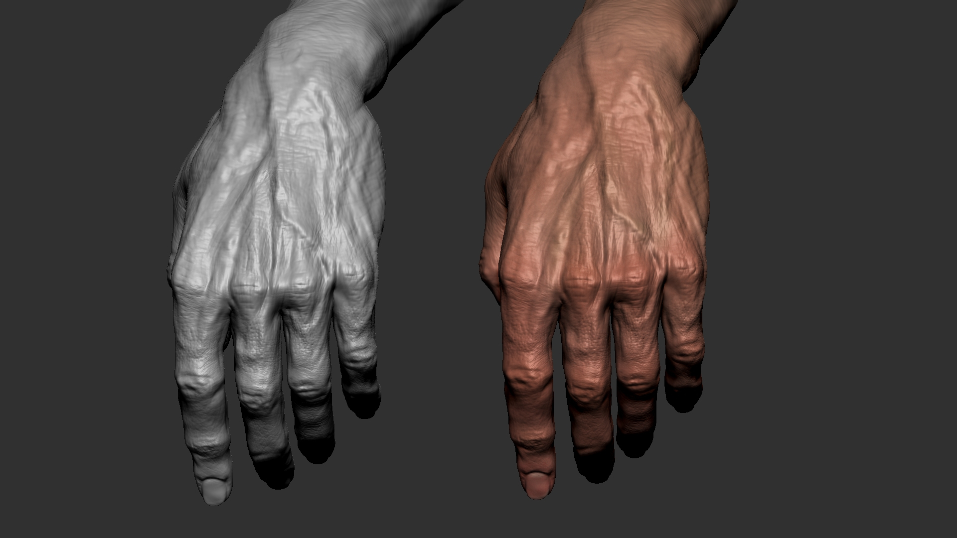 無料無料のリアルな手3Dモデル - TurboSquid 2203856