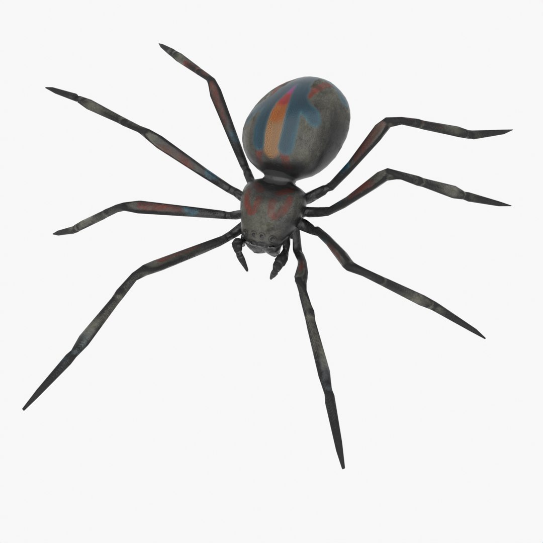 Rigged Lowpoly Animated Spider With No Fur Model - TurboSquid 2189326