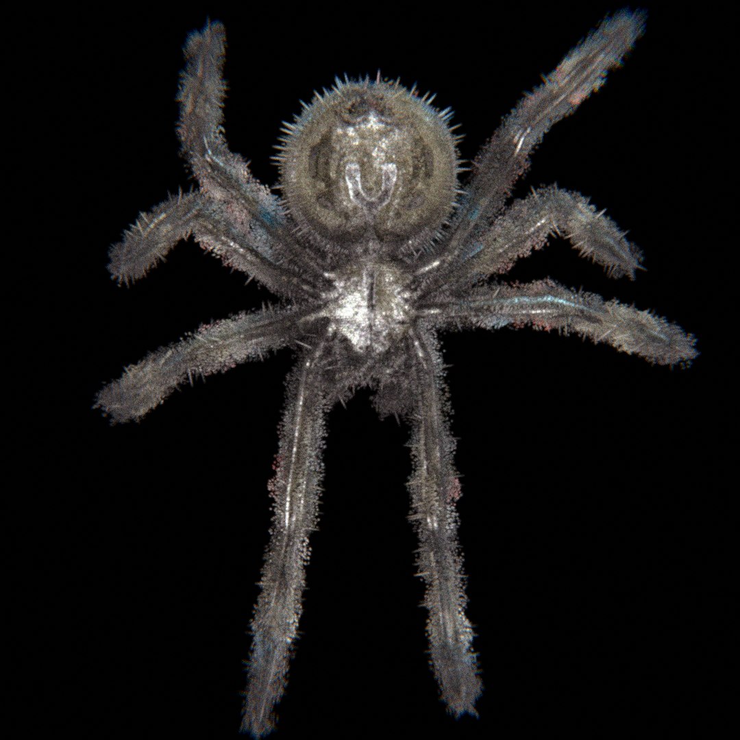 Rigged Lowpoly Animated Spider With No Fur Model - TurboSquid 2189326