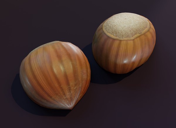 Hazelnut Blender Models for Download | TurboSquid