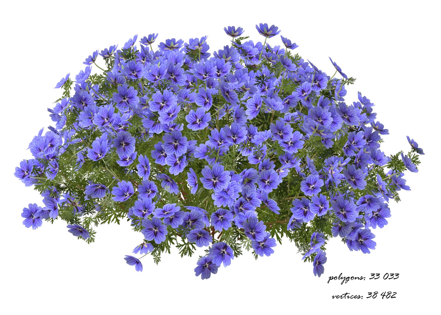 3D Model Geranium Flowers - TurboSquid 1243656