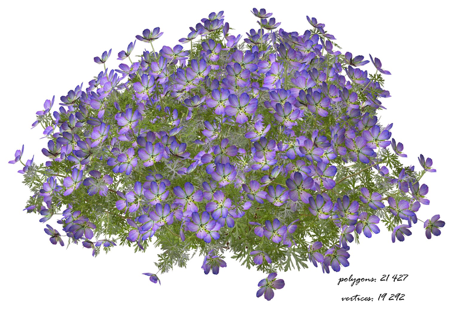 3D Model Geranium Flowers - TurboSquid 1243656
