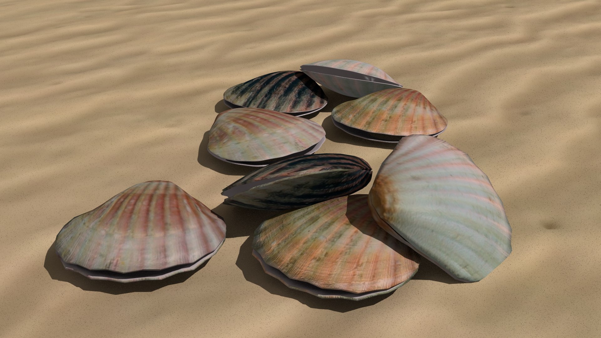 Sea Shells 3d Model