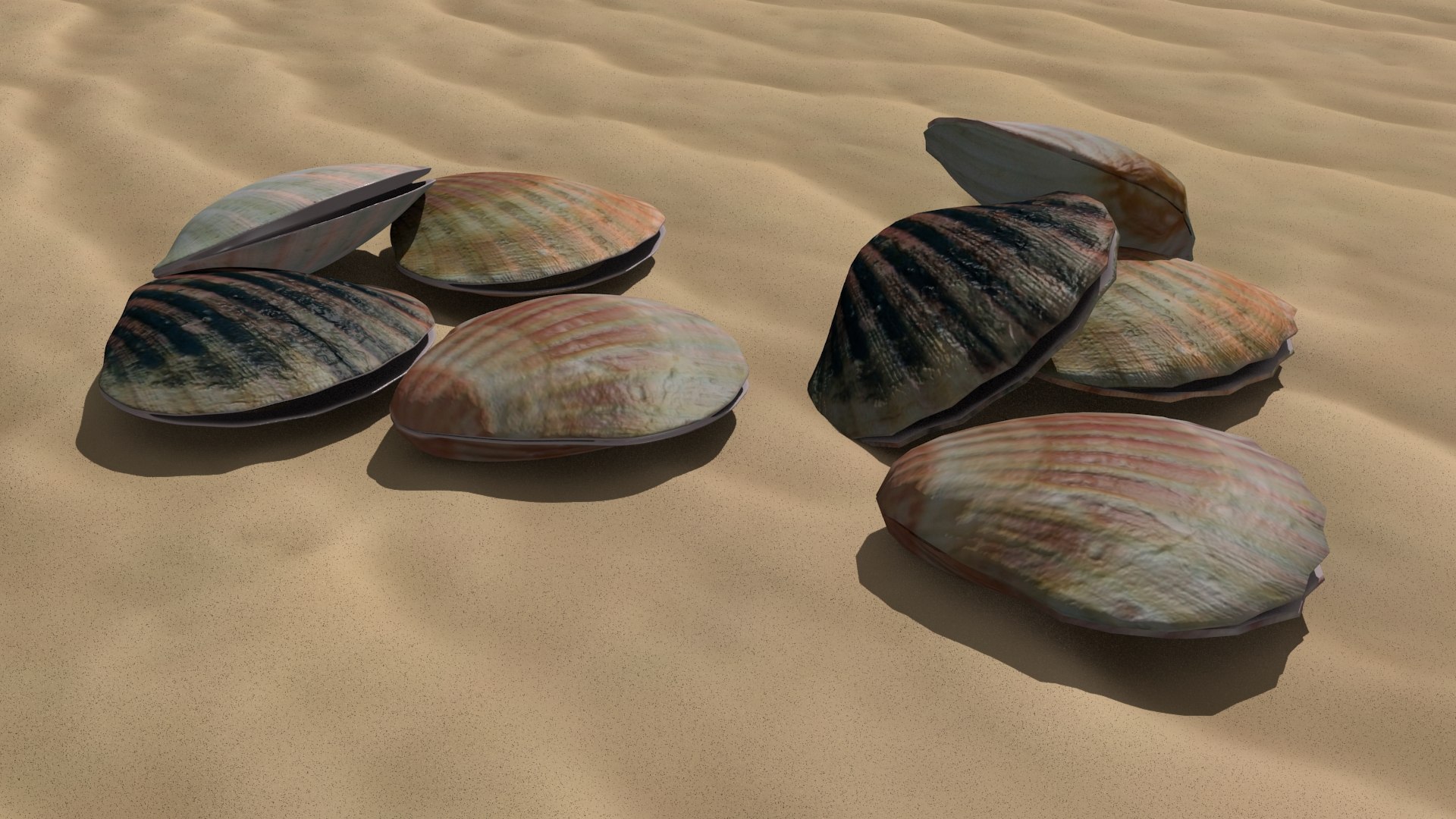 Sea Shells 3d Model