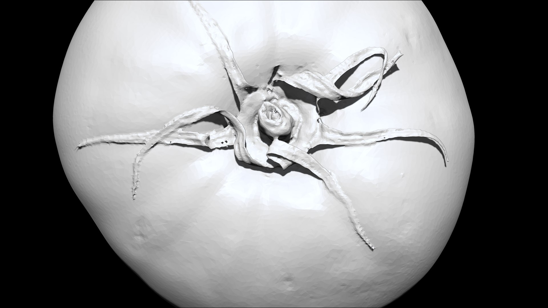 Tomato 3D CT Scan Model Decimate 10 Percent 3D Model - TurboSquid 1908517