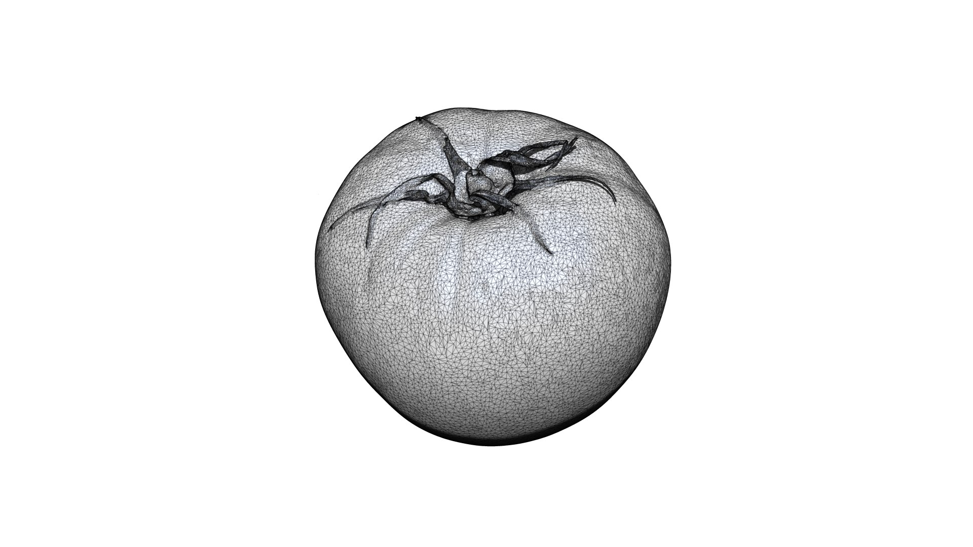 Tomato 3D CT Scan Model Decimate 10 Percent 3D Model - TurboSquid 1908517