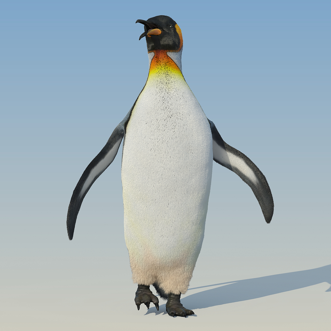 3d King Penguin Fur Rigged Model