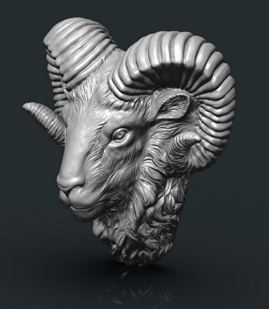 Ram Head 3D Model - TurboSquid 1795150