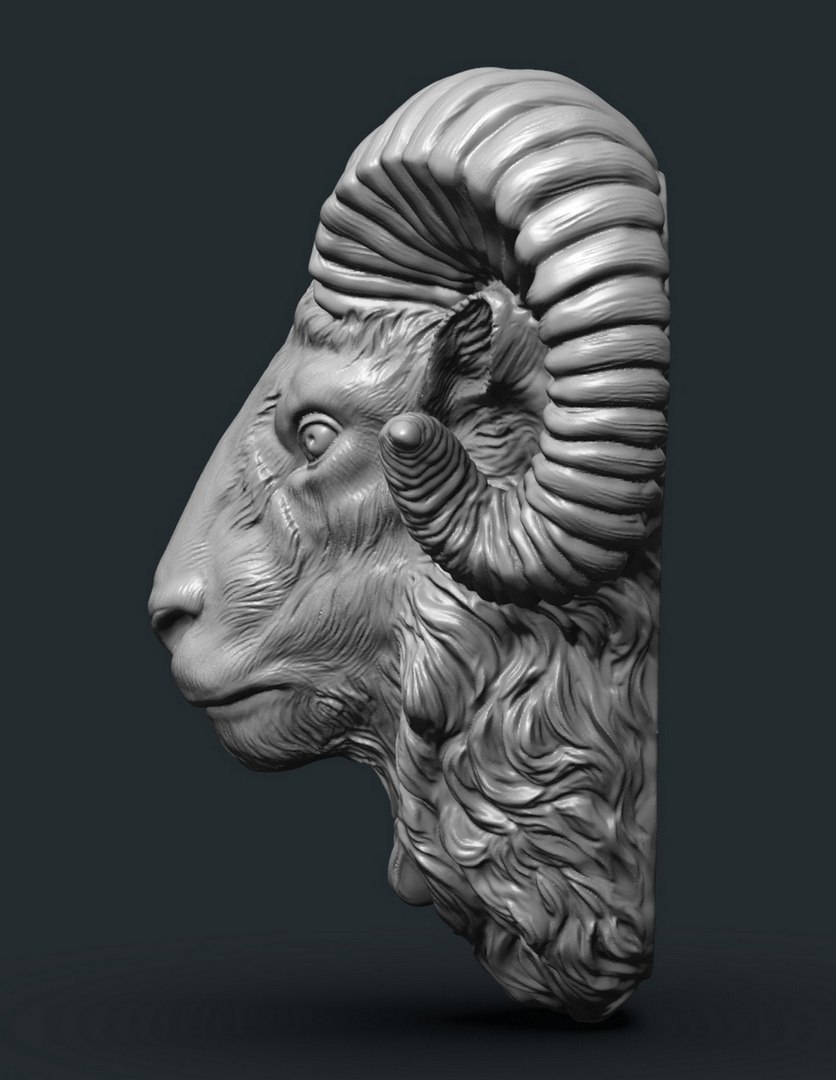 Ram Head 3D Model - TurboSquid 1795150