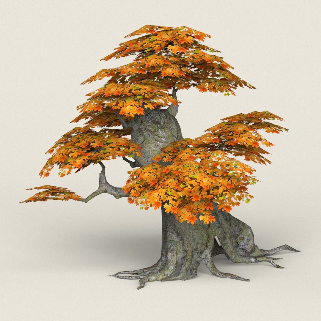 3D maple tree - TurboSquid 1644636