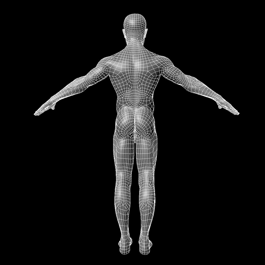 Male Figure 3d Ma